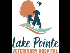 Breed-Specific Cuts Services - AKC GroomerFinder - The Best Way To Find ...