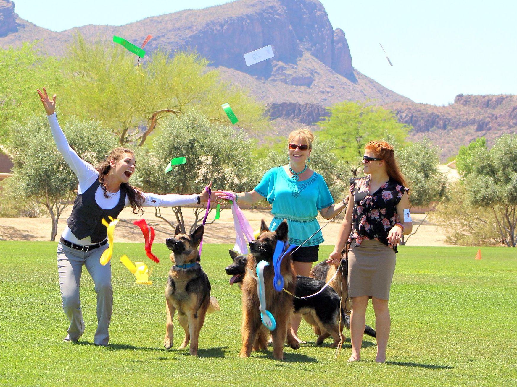 Abbott's German Shepherds - German Shepherd Dog Puppies for Sale in ...