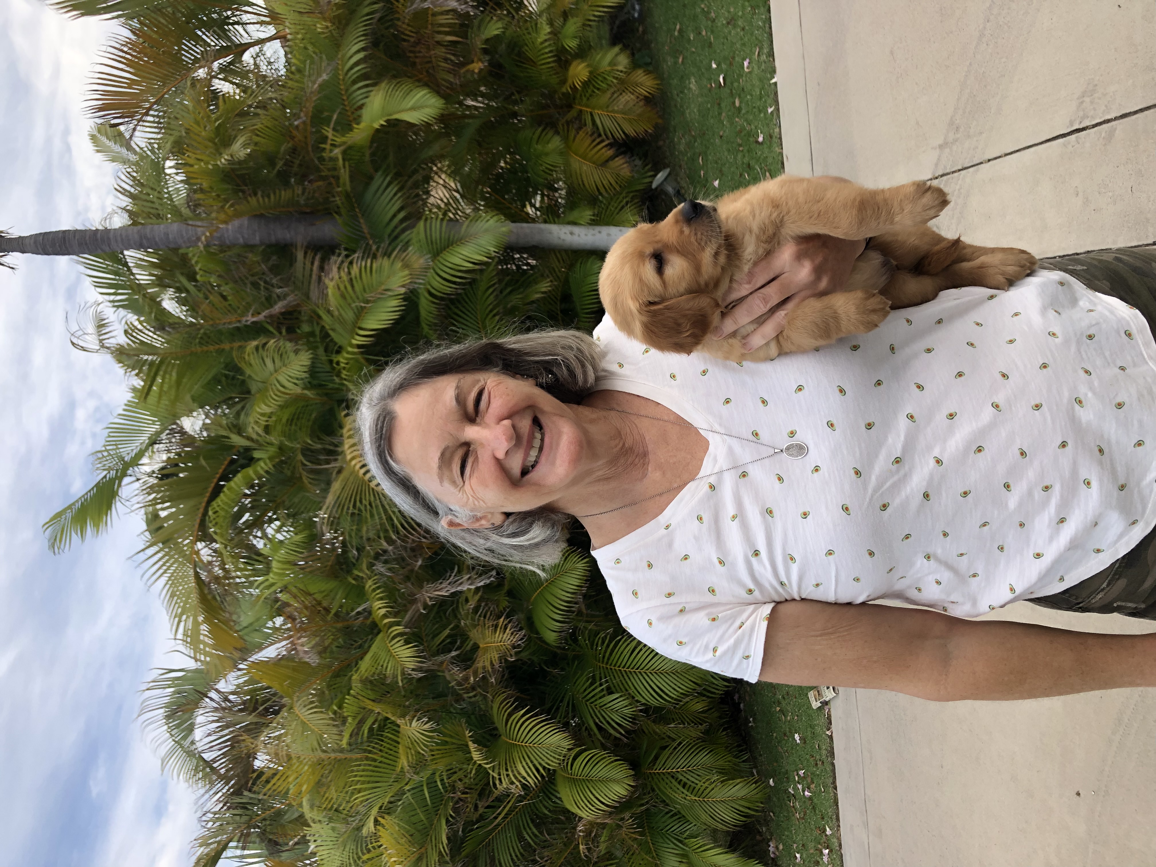 American Kennel Club