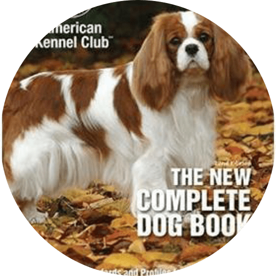 American Kennel Club